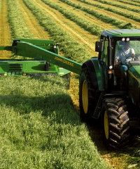 Why agriculture hubs are the best way to grow African farming